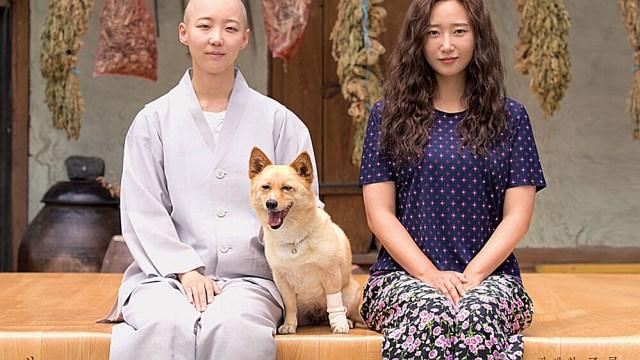 'Handsome Guys' → 'Moon Kyung' → 'Veteran 2', 'Bok-soon', a dog busier ...